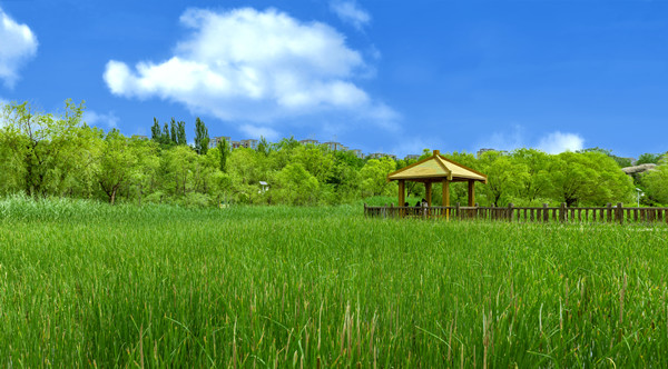 The Third International Workshop on Automation, Control and Communication Engineering (IWACCE 2024)